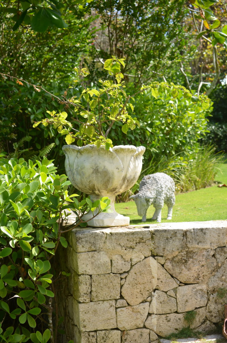 Travel: Playa Grande Beach Club - Lindley Pless