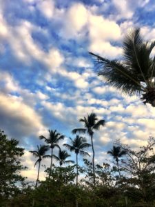 Travel: Playa Grande Beach Club - Lindley Pless