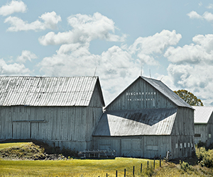 Fabulous Photographer: Jim Westphalen - Lindley Pless